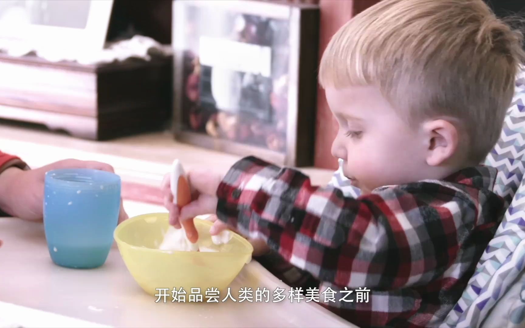 影响世界的中国植物 第二集水稻