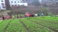 小班户外活动2016.1.7