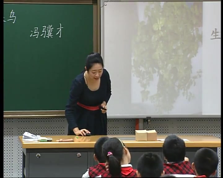 《第一单元:4 珍珠鸟》部编版小学语文五年级上册 省级公开课 优质课 ...