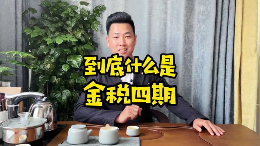 #金税四期 #税务筹划 #财税 #财税知识 让各路逃税明星