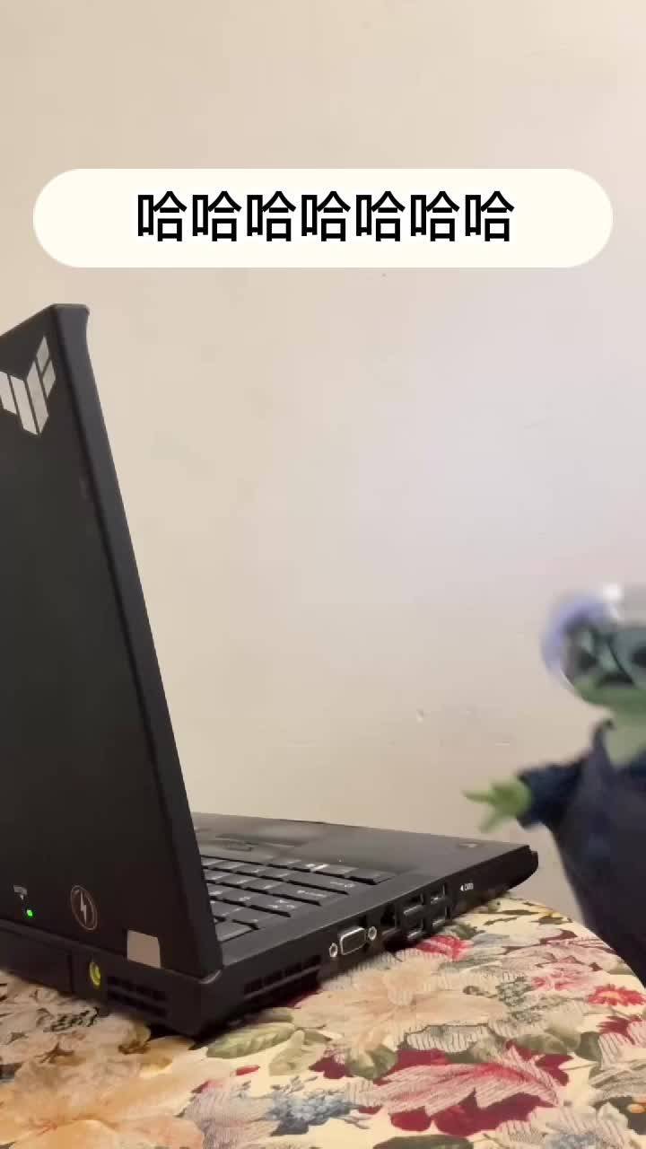 小玩偶的电脑工作