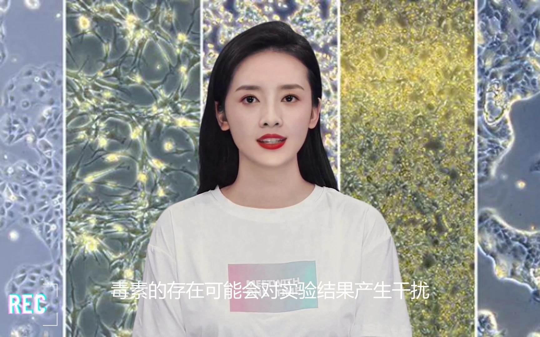 7.3 转染细胞的质粒为什么要去除内毒素?