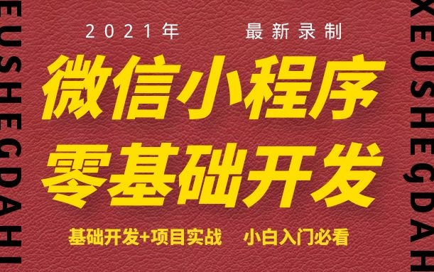 2021全新微信小程序开发教程全集|美女老师带你从零基础到实战已...