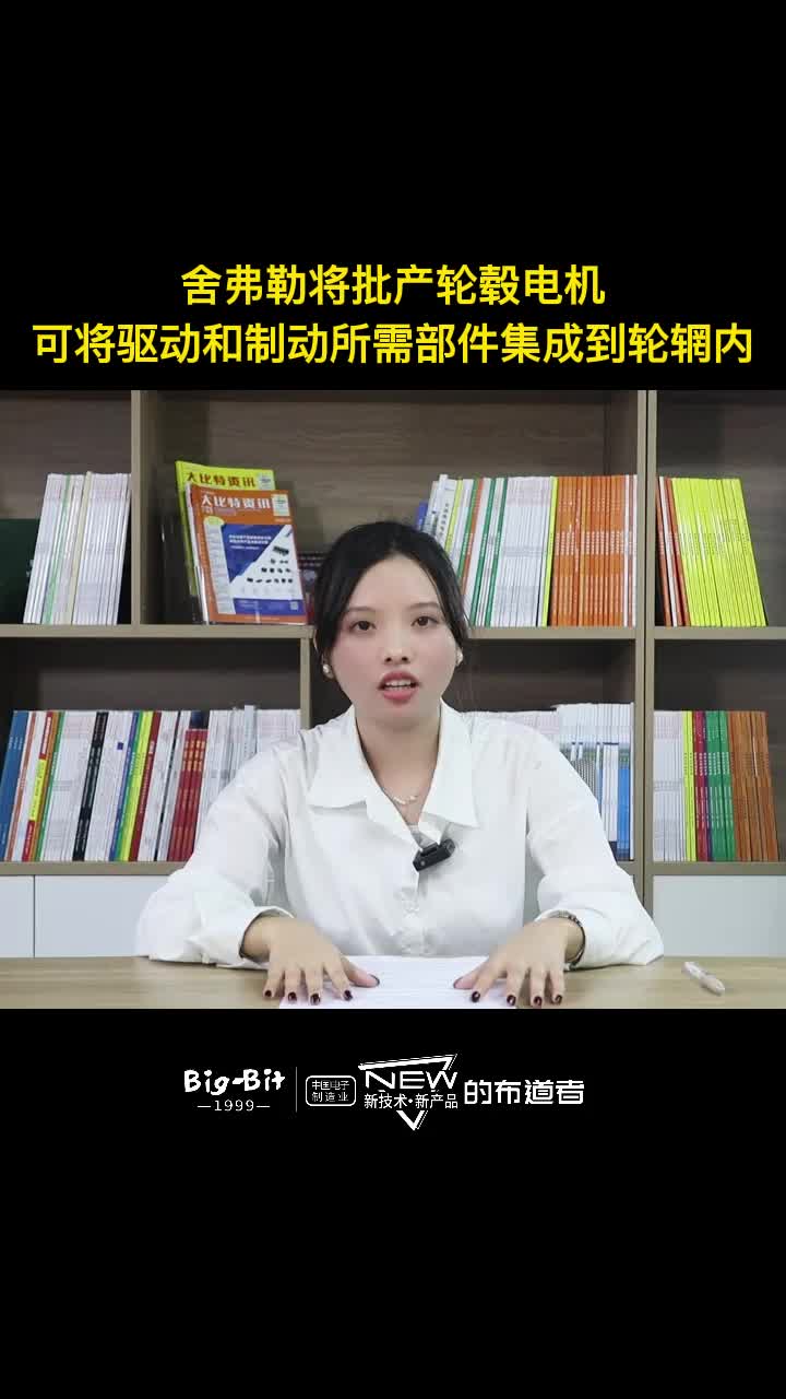 舍弗勒将批产轮毂电机