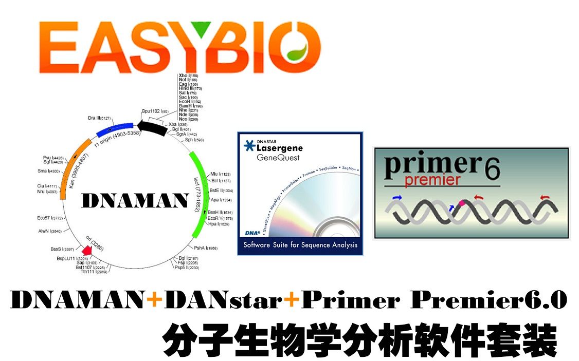分析软件DNAstar安装