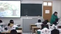 《用数学》,小学数学优质课教学实录