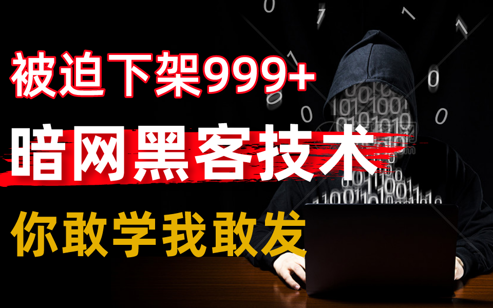 ...技术,你敢学我就敢发,入门到入狱(网络安全/信息安全/CTF/渗透测试)