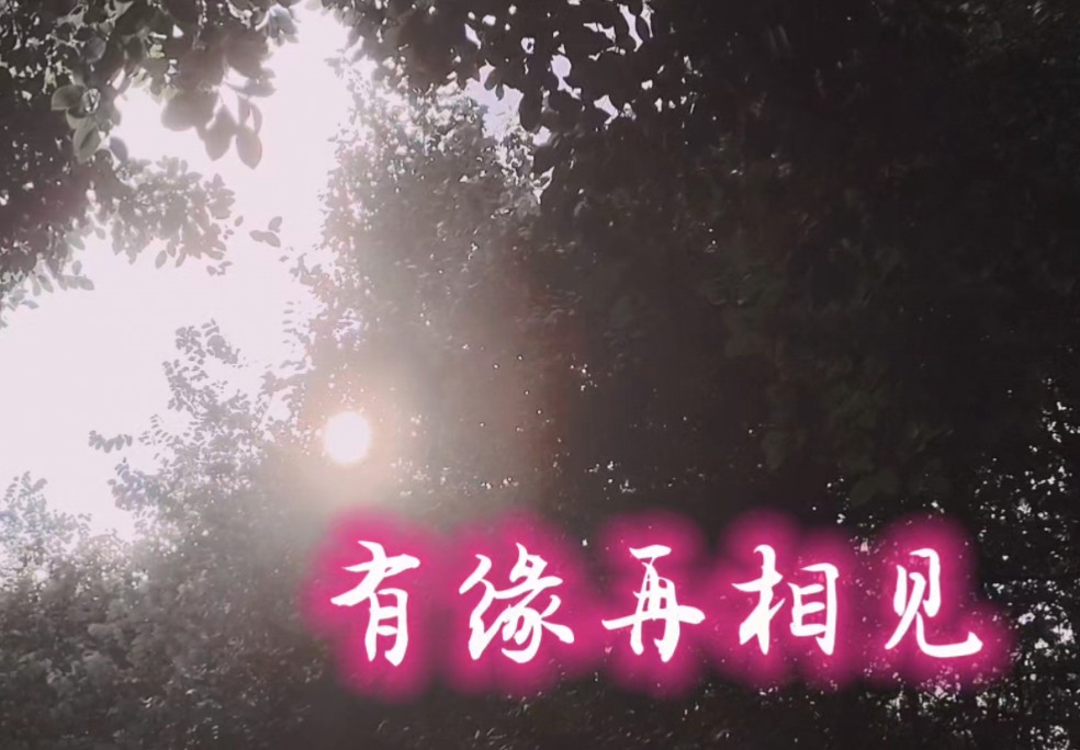 初中生爆肝100多天,制作毕业季原创音乐+MV《有缘再相见》