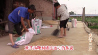 行唐县小麦晒干该入库了,用这种推车推小麦又省事又好用,小孩也能推动