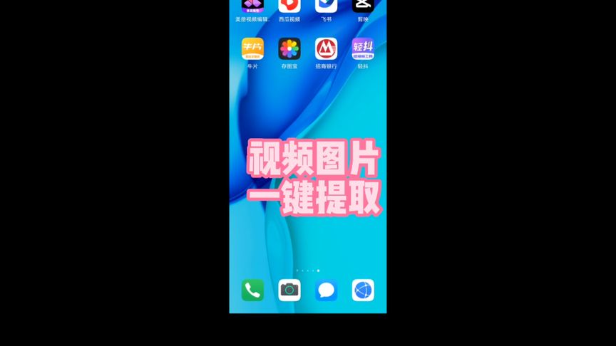 一键提取网站视频和图片的软件