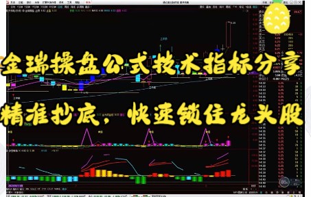 金瑞操盘公式技术指标分享,精准抄底,快速锁住龙头股