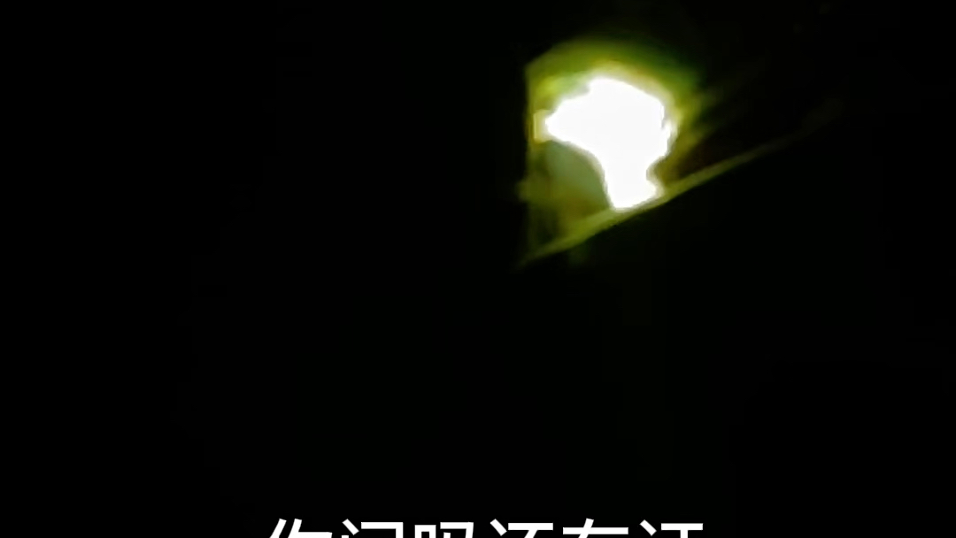 技术是谁教的
