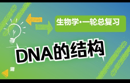 【高中生物一轮复习】6.2-1 DNA分子的结构 新高考生物步步高全国新...