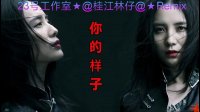 《你的样子》歌词版---桂江林仔