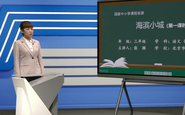 【知识串讲】《海滨小城》部编人教版三年级语文上册YW03A-079 ...