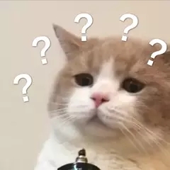 Ay_小乐 