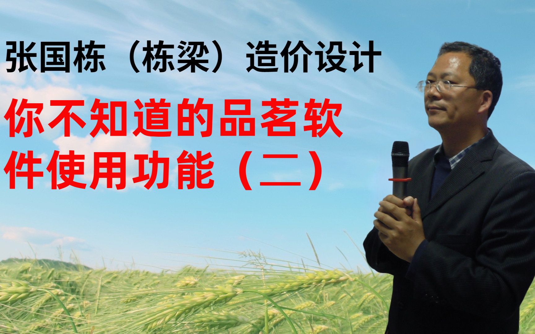 张国栋(栋梁)造价设计:你不知道的品茗软件使用功能(二)