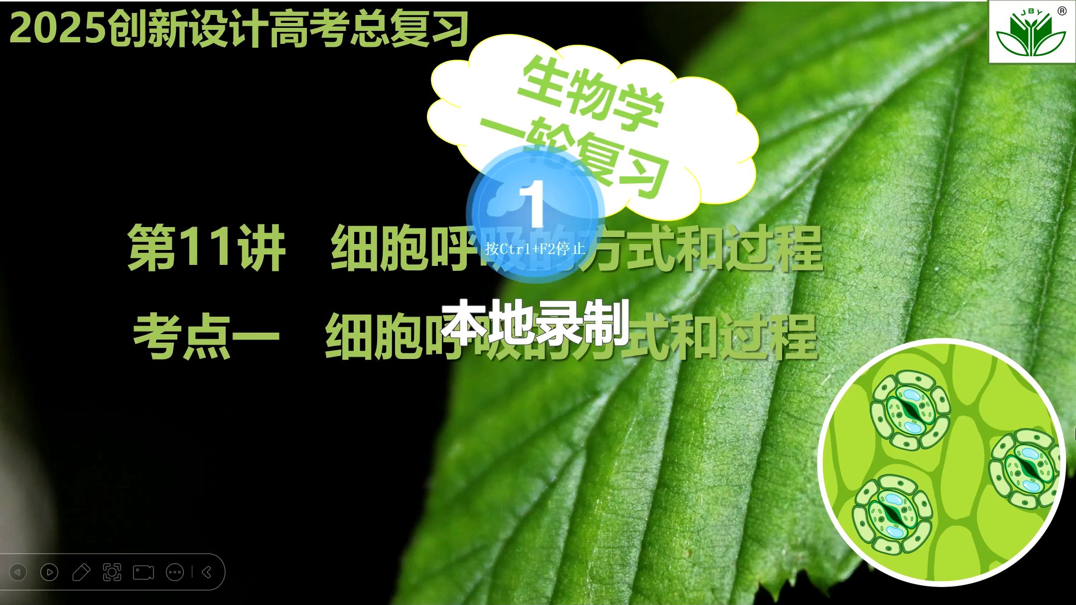 ...(一轮)】第11讲细胞呼吸的方式和过程 考点一细胞呼吸的方式和过程