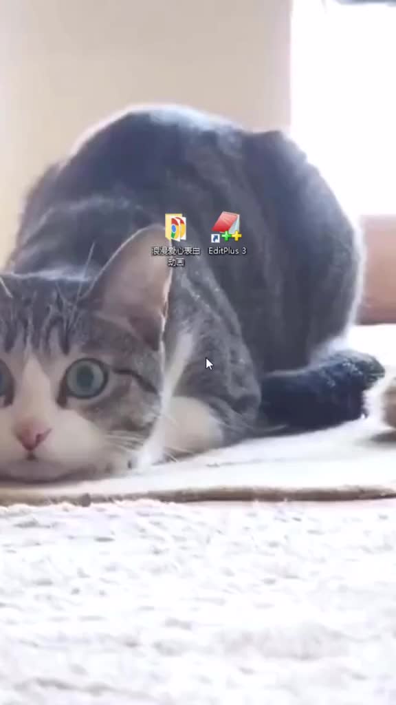 浪漫爱心代码,拿去表白喜欢的人吧,需要源码私信或评论1