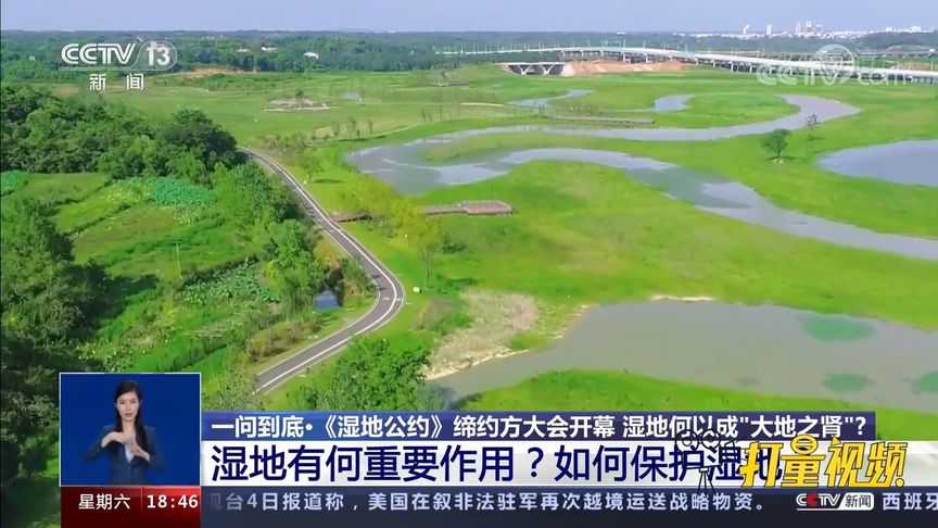 湿地有何重要作用?我们应如何保护湿地?权威解答来了|共同关注