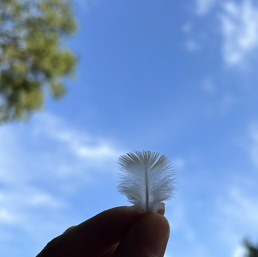 税学每日新 
