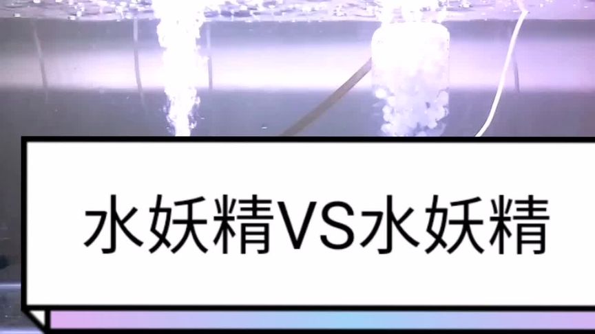 #鱼缸过滤设备 #氧气泵