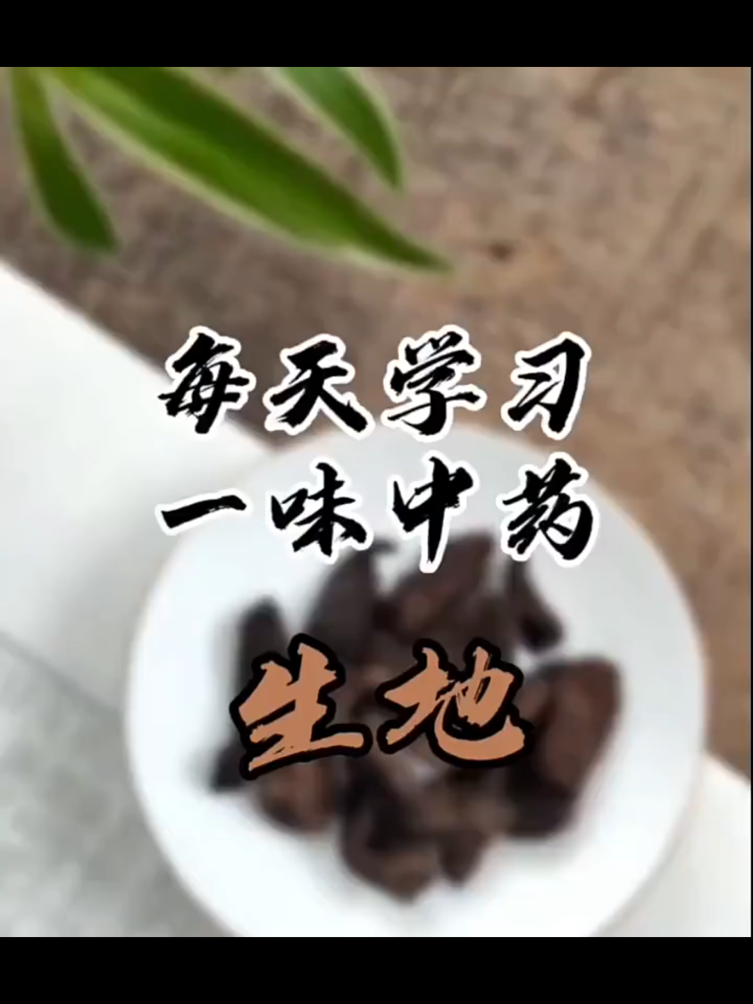 大华中医师承每天学习一味中药《生地》有养阴生津,清热凉血作用 #...