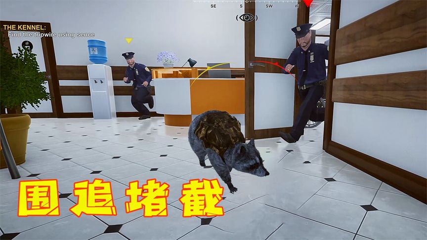 浣熊模拟器!我被关进浣熊监狱想要逃出去,遭遇警卫的围追堵截