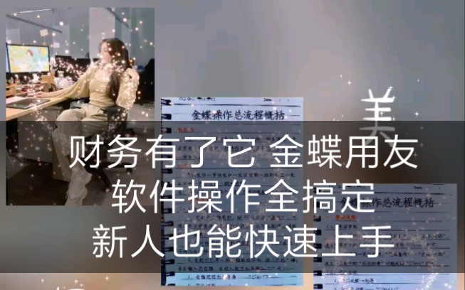 财务必备:金蝶用友财务软件操作全流程,新人也能快速上手