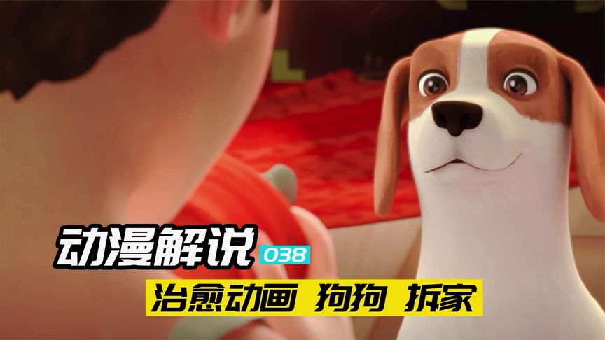 宠物温馨治愈动画,狗狗拼命拆家,女主人为何完全不理它?