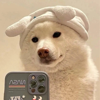 虎牙四犬_