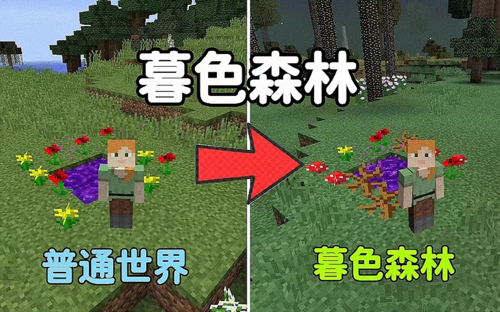 【我的世界】MC暮色森林!暮色初体验,困难重重!_哔哩哔哩bilibili_我的...