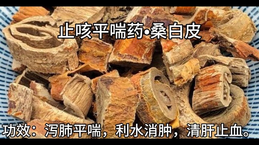 桑白皮,为桑树的树根皮,原来是具有药用价值的,下次别不认得。