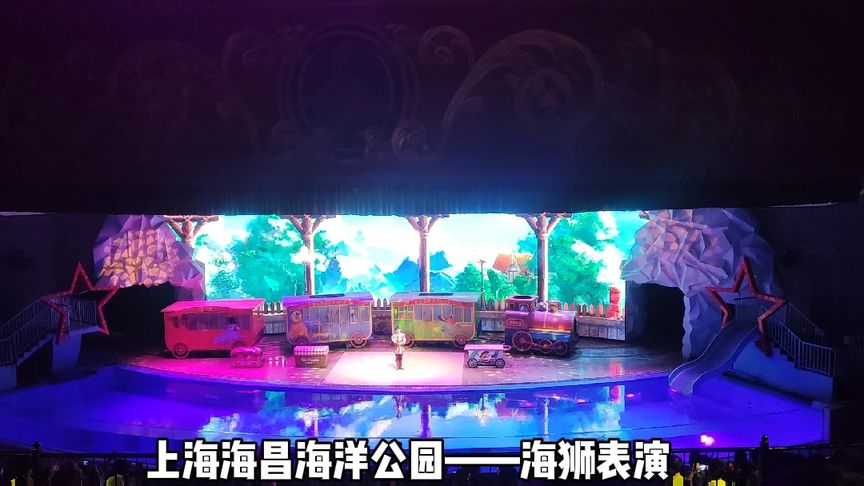 上海海昌海洋公园——海狮表演
