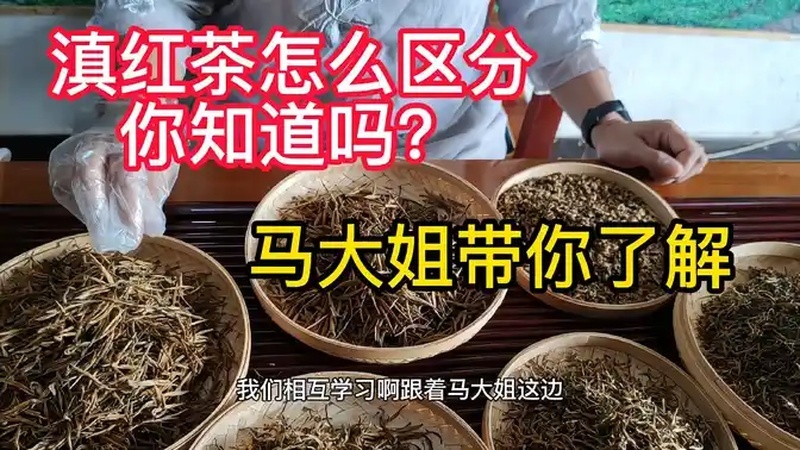 滇红茶怎么区分你知道吗?