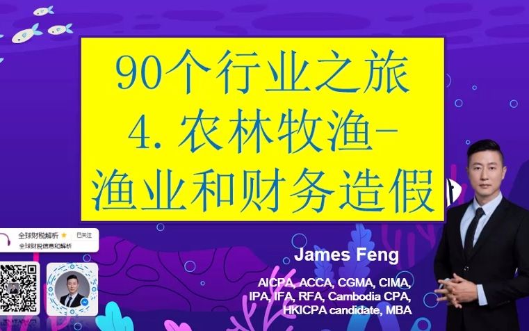 90个行业之旅-4.渔业(獐子岛)和财务造假(银广夏/万福生科/蓝田股份/...