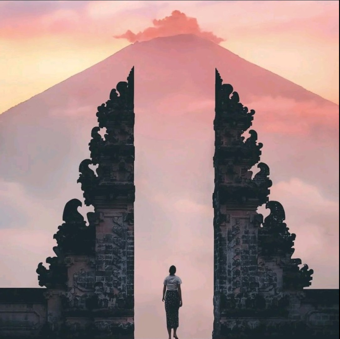 每日一学TED 