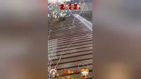 济宁百瑞达彩钢瓦翻新打磨机手推式电动款汽油机款除锈机打磨机