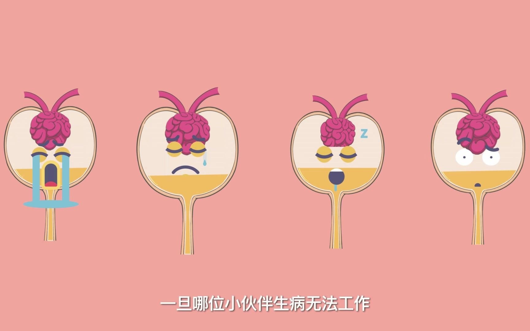 神秘的肾脏-科普视频带你了解肾脏的秘密