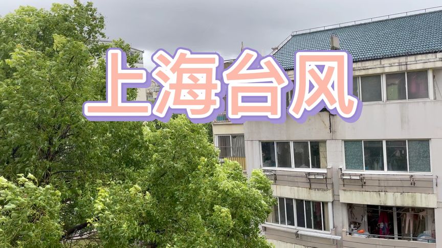 感受一下上海的台风