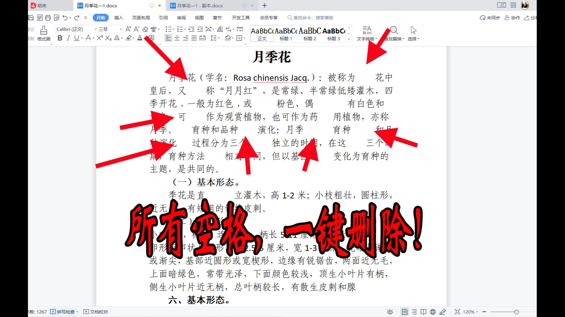 WPS文档怎样删除空格?可以做到一秒批量删除全文所有空格