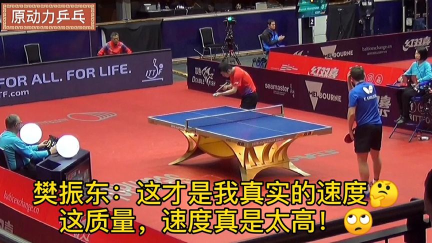 樊振东这球你也接住几个?观众视角下樊振东的真实速度