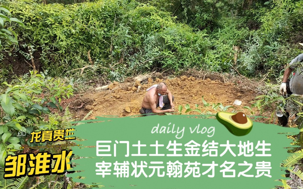 邹淮水实地实践寻龙点地#阴阳宅选址布局安葬#日课选吉#风水培训#...