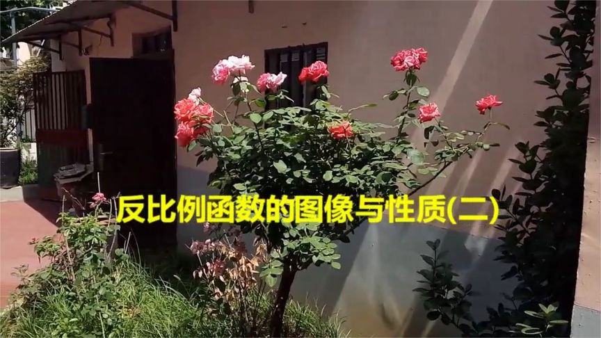 反比例函数的图像与性质(二