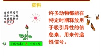 3月6日《生态系统的信息传递和稳定性》