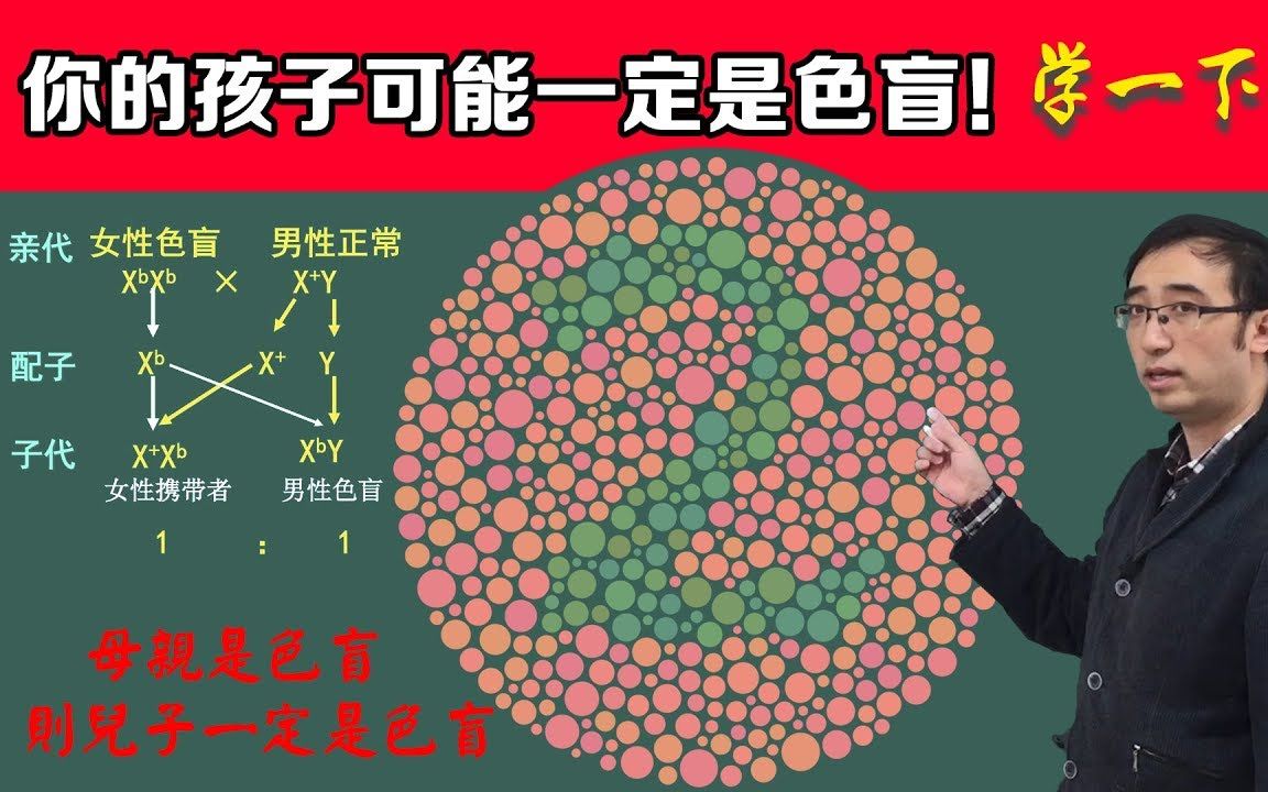 正常父母为啥也能生出色盲孩子?你知道色盲的概率有多高吗?李永乐...