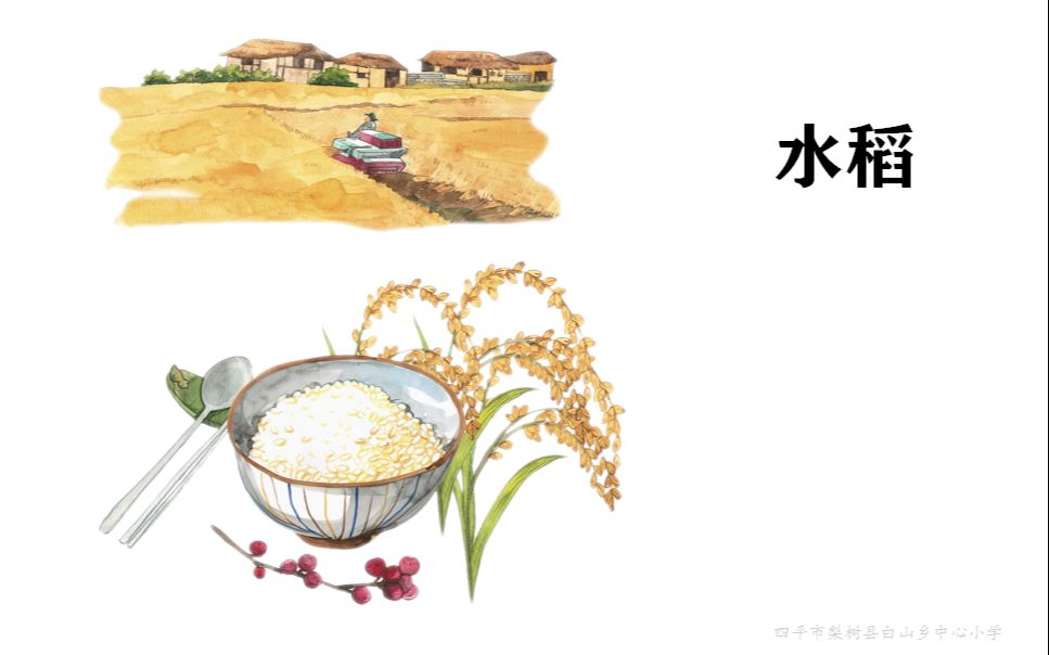 四年级道德与法治下册《我们的衣食之源》第1课时