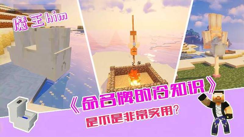 我的世界: 命名牌冷知识!HIM偷玩游戏被KO!