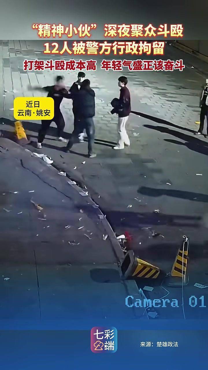 "精神小伙"深夜聚众斗殴,12人被警方行政拘留