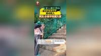 合肥一景区内,一对白发老人登山,沿路捡起周围垃圾,努力守护环境卫生...